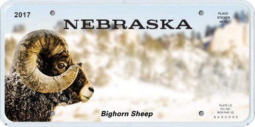 Wildlife Conservation Plates - Bighorn Sheep plate | Nebraska ...