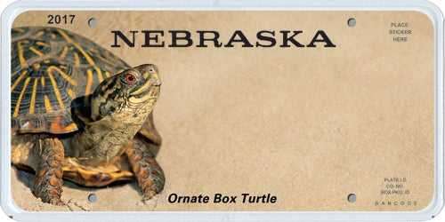 Wildlife Conservation Plates - Ornate Box Turtle plate | Nebraska ...
